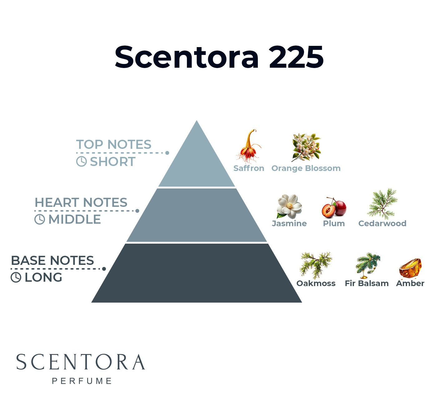 Scentora 225 - inspired by Baccarat Rouge