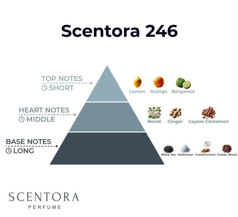 Scentora 246 - inspired by Imagination